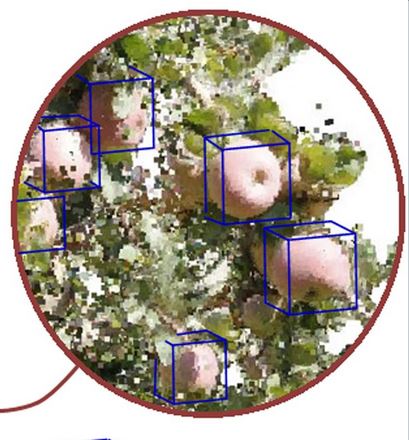 New scientific article published: "Fruit detection and 3D location ...